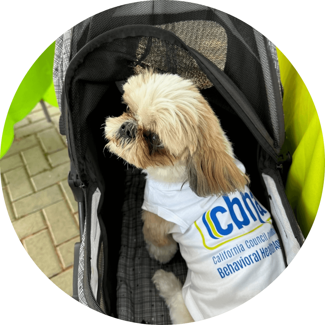 CBHA Board and Staff - California Behavioral Health Association (CBHA)